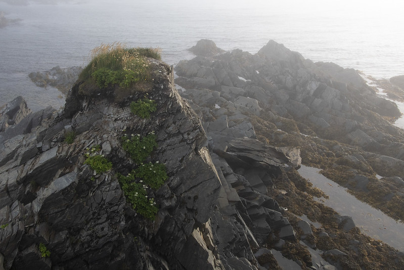 Catalina Harbour | DADart Photography